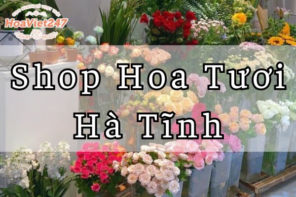 Shop Hoa Tươi Hà Tĩnh Miễn Phí Giao Hoa, Chất Lượng Uy Tín